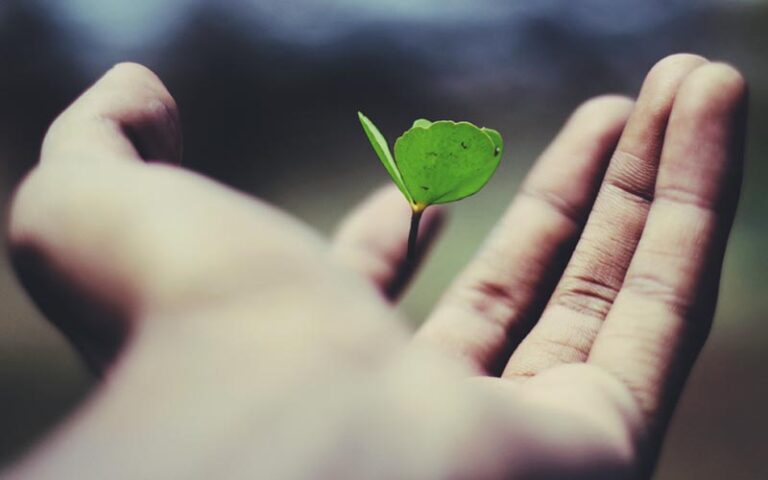 100 Powerful 'Never Beg a Man' Quotes to Boost Your Confidence